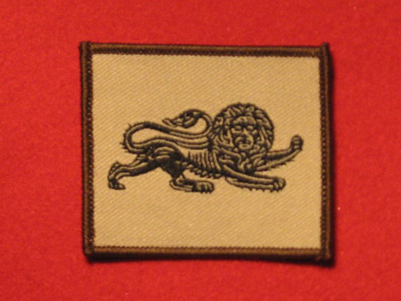 TACTICAL RECOGNITION FLASH BADGE DUKE OF LANCASTERS REGIMENT LION TRF ...