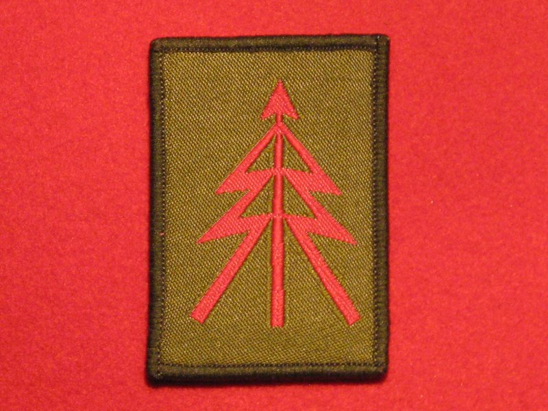 TACTICAL RECOGNITION FLASH BADGE 2 MERCIAN WORCESTER SHERWOOD FORESTERS ...