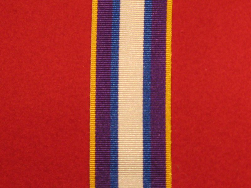 FULL SIZE BORDER FORCE IMMIGRATION ENFORCEMENT LSGC MEDAL RIBBON - Hill ...